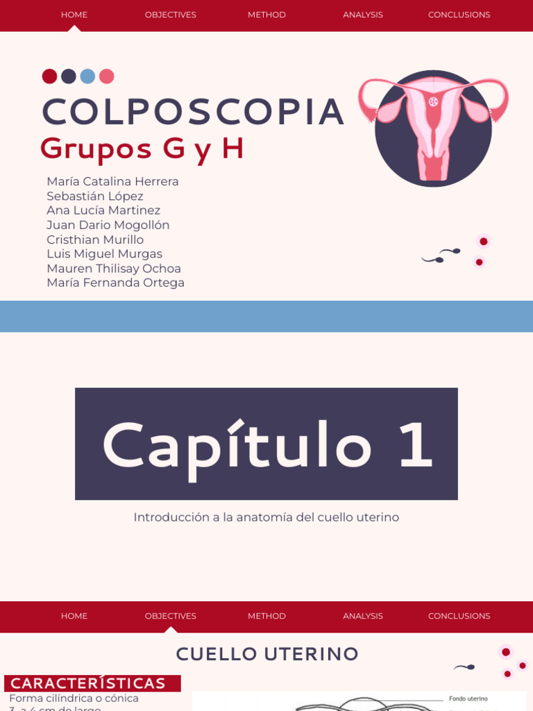 Guía Completa sobre Colposcopia y NIC | PDF