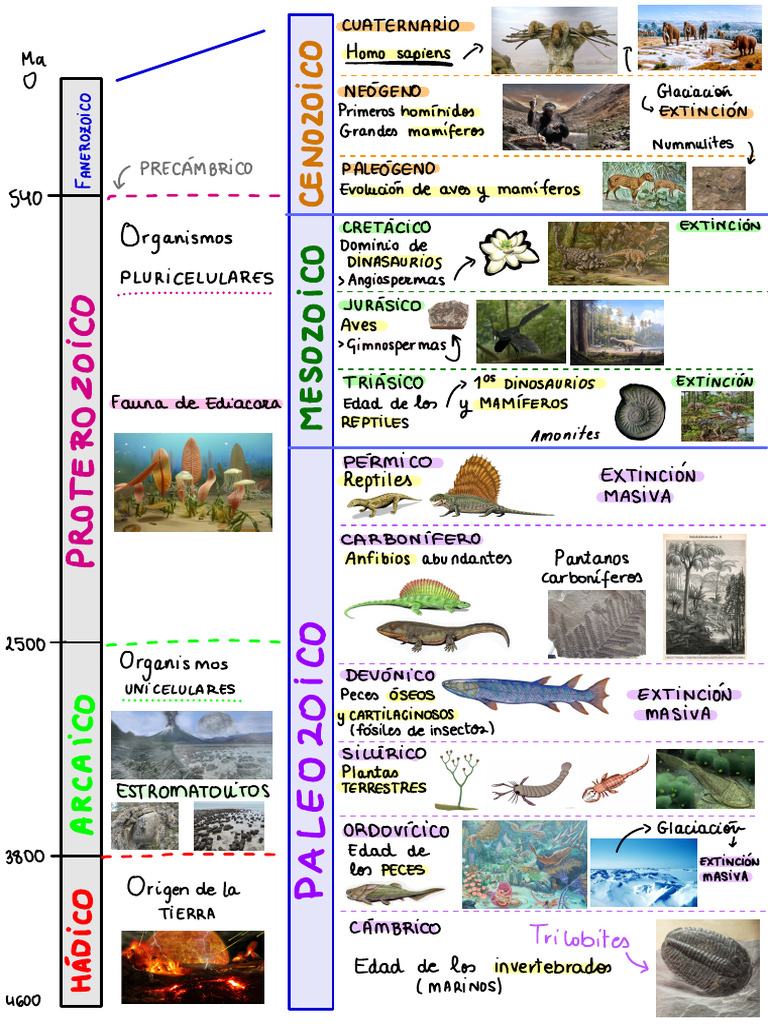 Eras y periodos de la Tierra | PDF | Estratigrafía | Geología