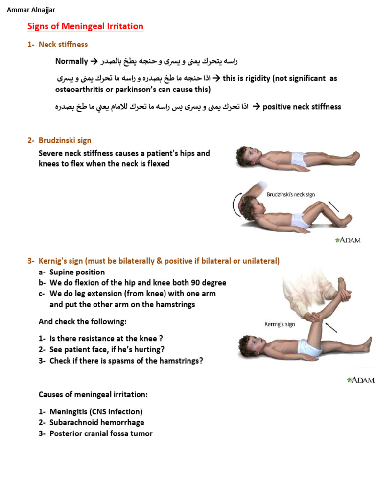 Meningeal Signs & Primitive Reflexes | PDF