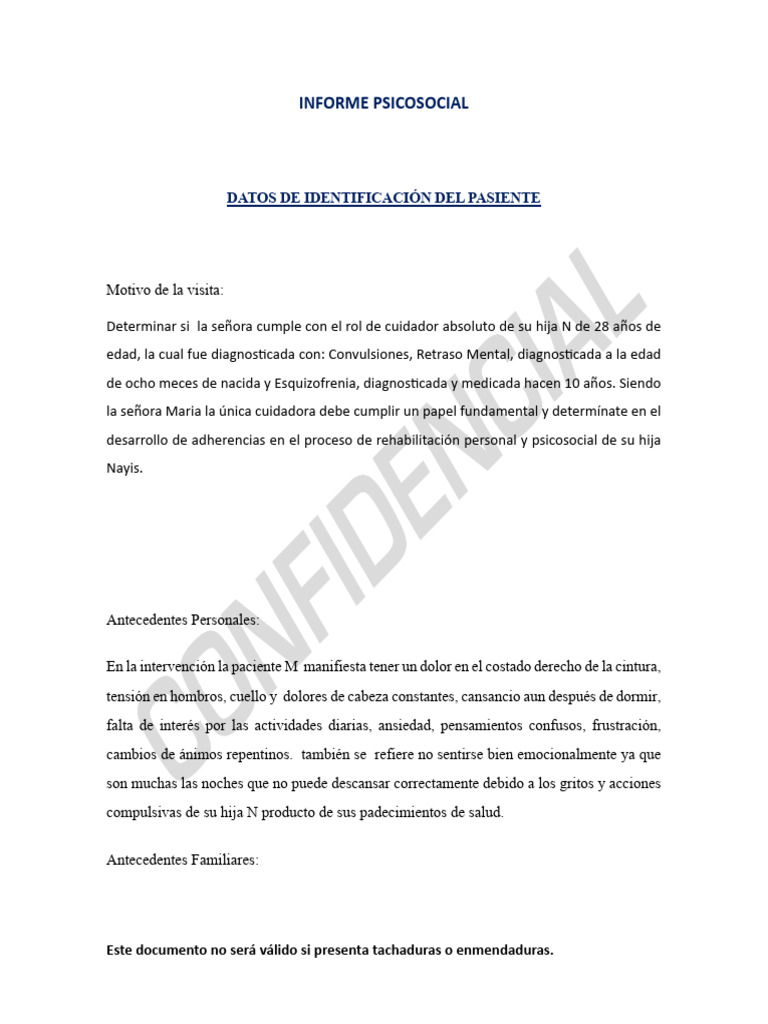Informe Psicosocial | PDF