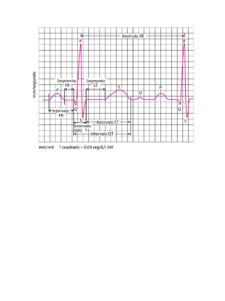 Ficha Ekg | PDF