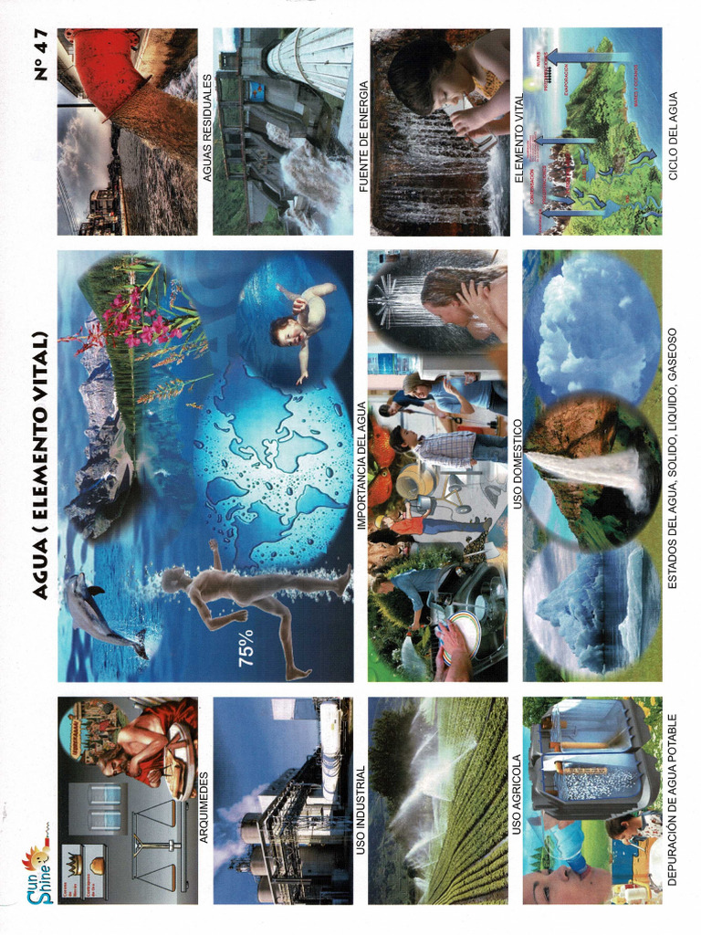 Agua Elemento Vital | PDF