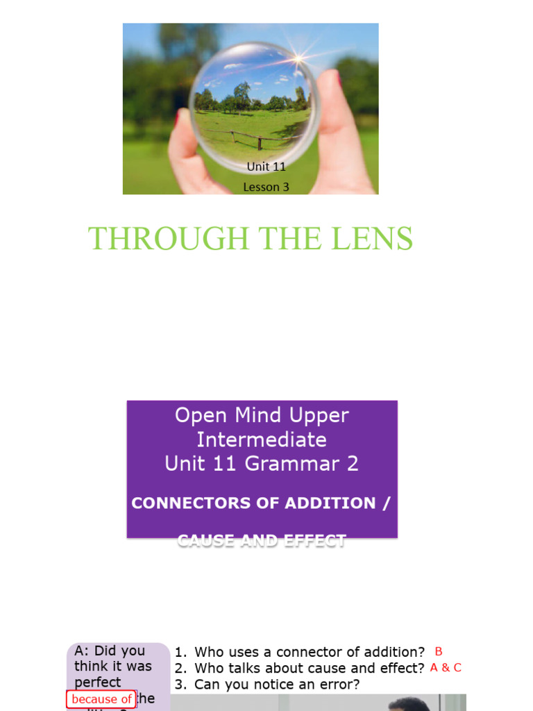 Unit 11 Lesson 3 | PDF