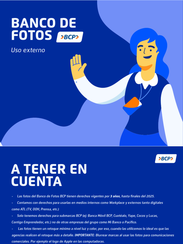 Guia Banco de Fotos BCP Proveedores | PDF | Informática | Industrias de servicio