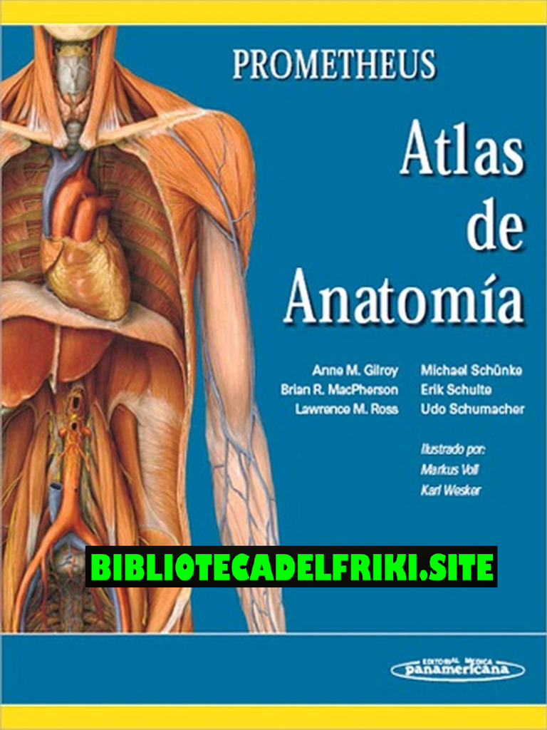 Prometheus Atlas de Anatomía | PDF | Science & Mathematics
