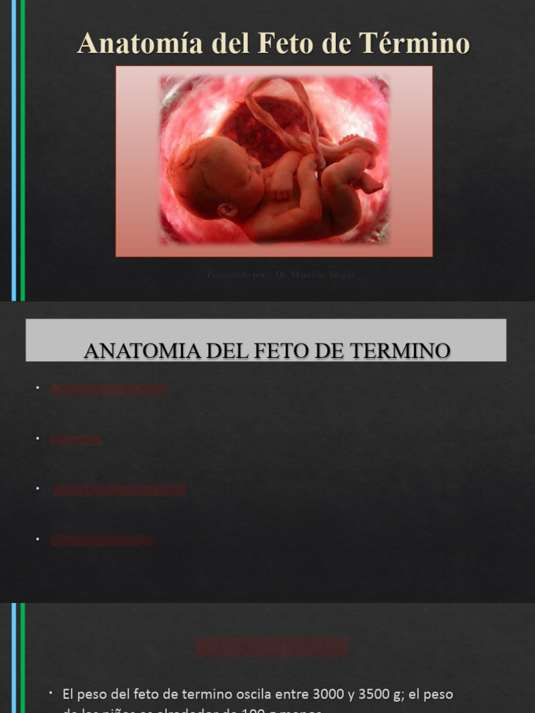 Anatomía Del Feto de Término | PDF | Cráneo | Feto