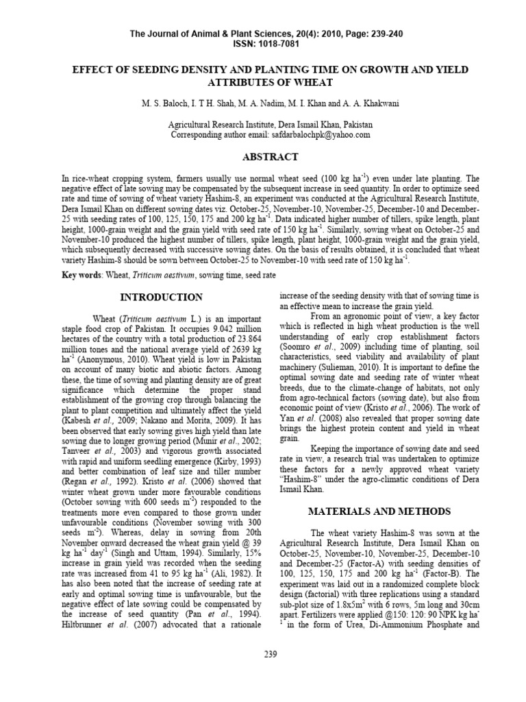 Wheat Growth: Seeding Density & Timing | PDF | Sowing | Wheat