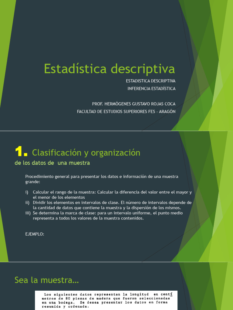 Estadística Descriptiva | PDF | Muestreo (Estadísticas) | Histograma