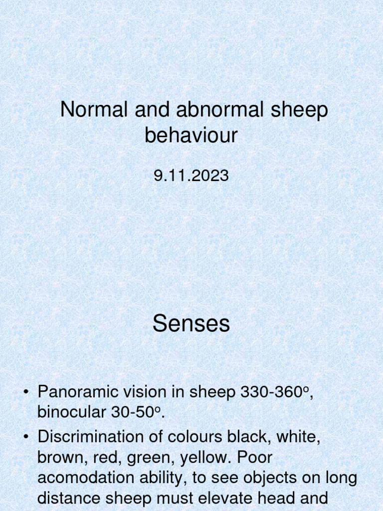 Sheep Behaviour Pdf Sheep Senses