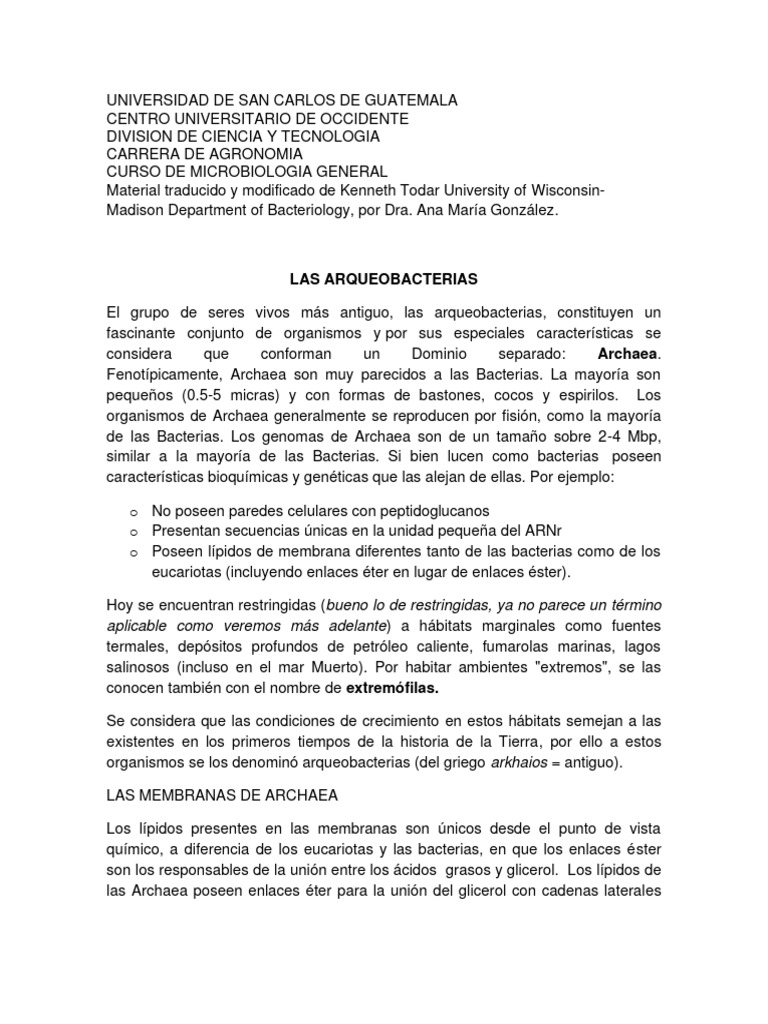 ARCHAEA | PDF