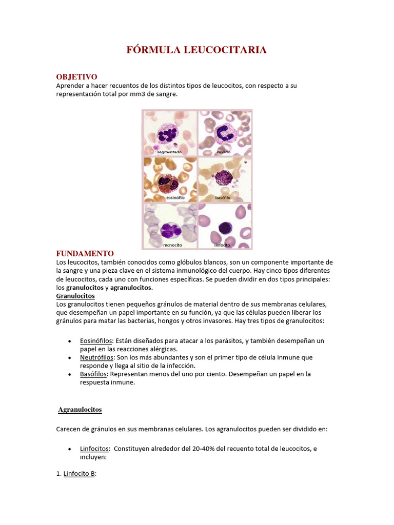 Análisis de la Fórmula Leucocitaria | PDF | Ciencia y matemáticas