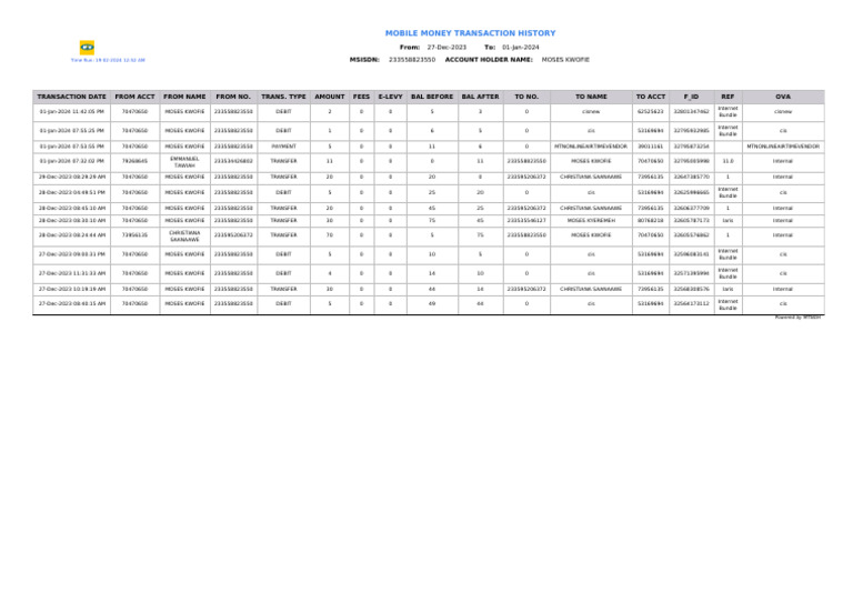 Momo Statement Report | PDF