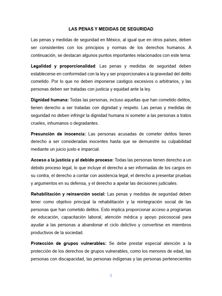 Penas Y Medidas De Seguridad Descargar Gratis Pdf Prisión Debido 8841