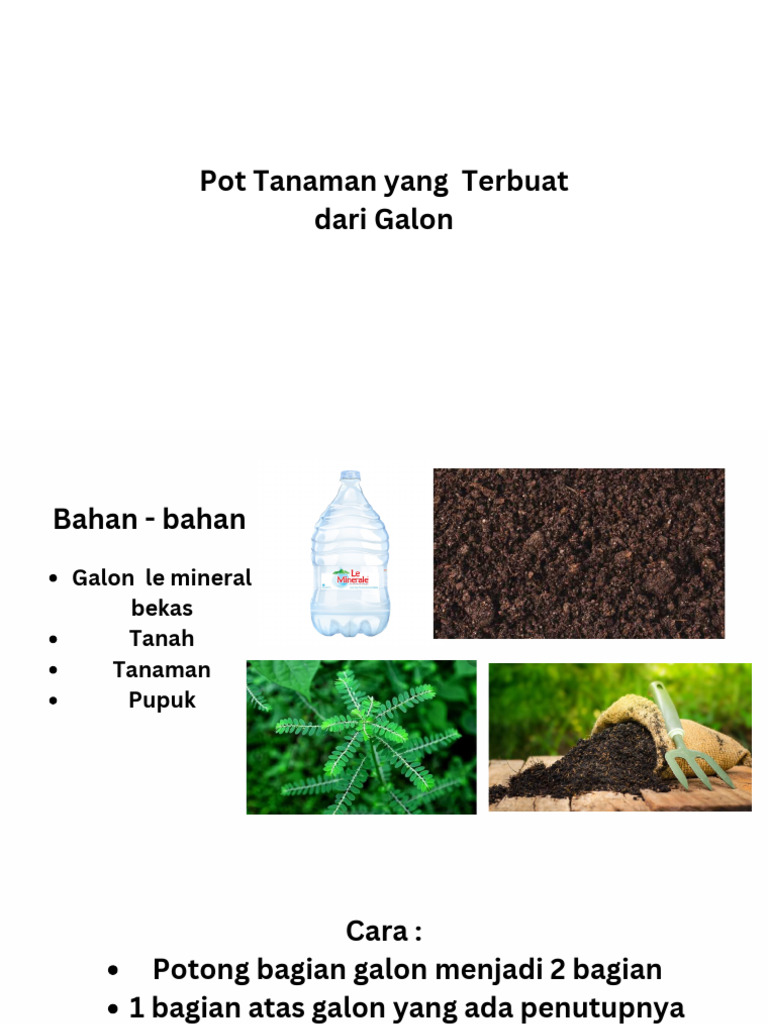 Pot Tanaman Yang Terbuat Dari Galon | PDF