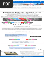 Typing Practice Sheet Beginner | PDF