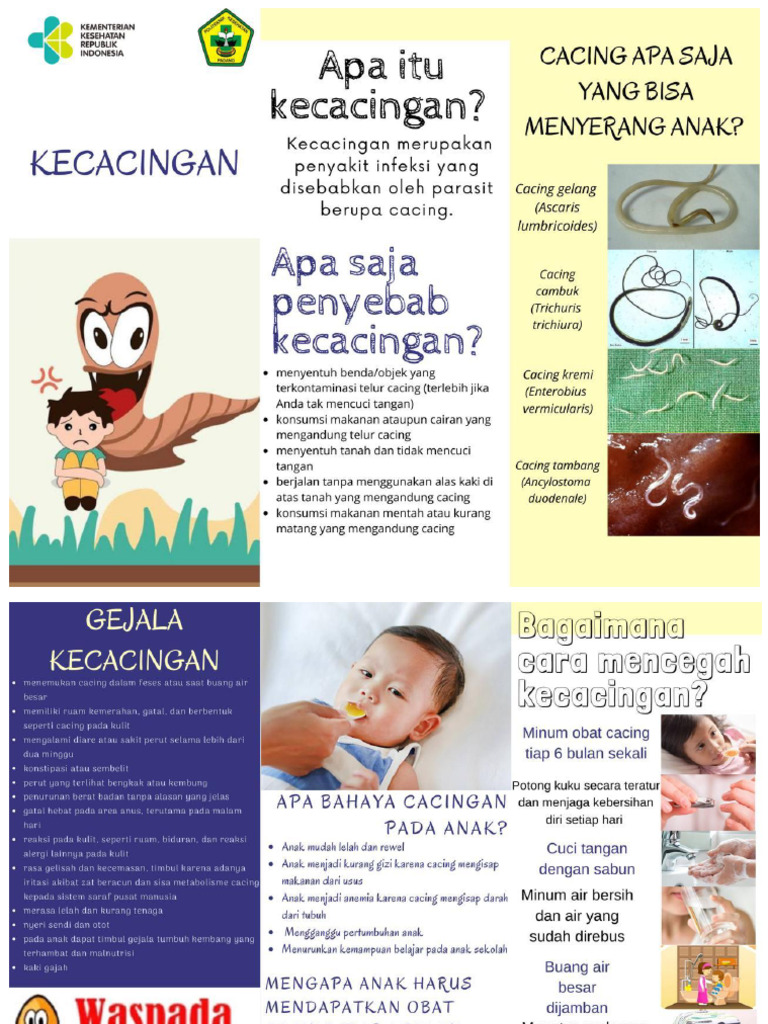 Leaflet Kecacingan | PDF