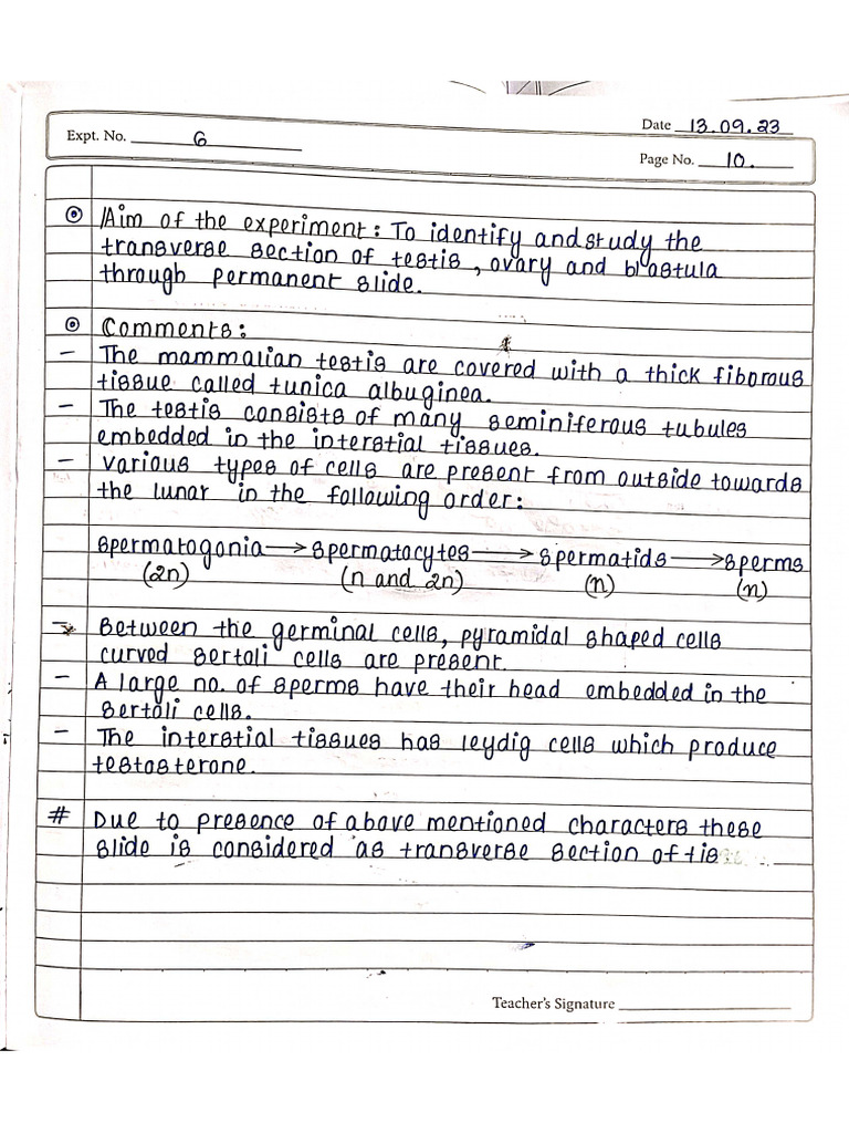 Experiment - 6 | PDF