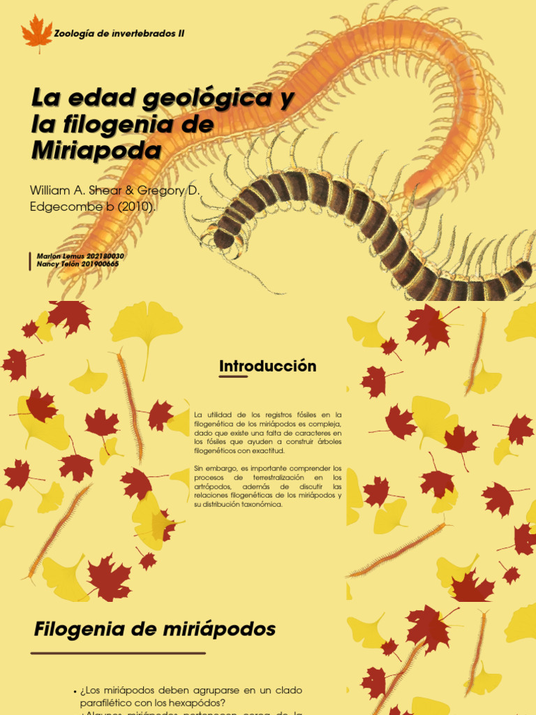 Filogenia de Pauropoda y Miriápodos | PDF | Primeras apariciones ...