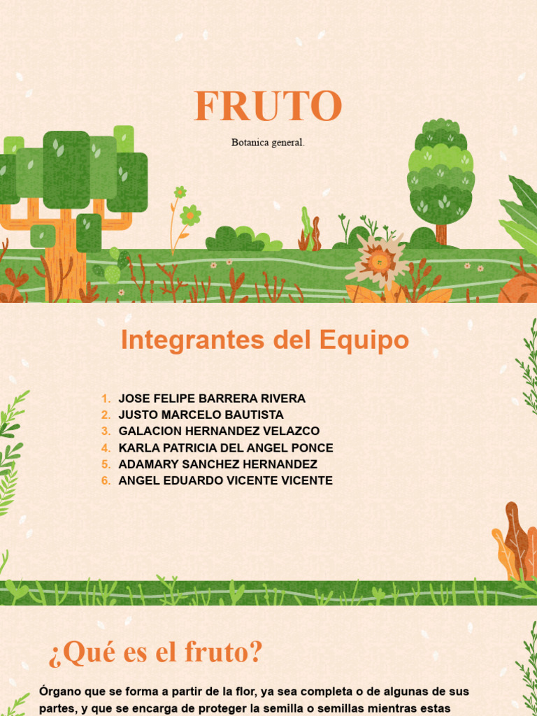 Clasificación y funciones del fruto | PDF | Fruta | Reproducción de plantas