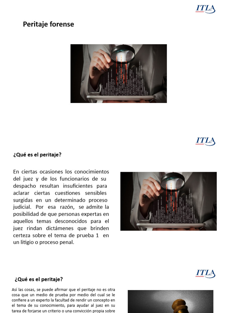 Peritaje Forense y Evidencia Digital | PDF