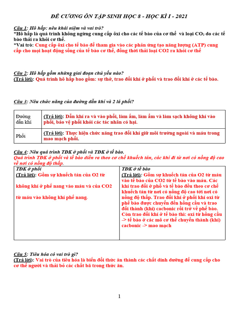 DC On Tap Hk1 s8 2021 Chương HH TH (Soan) | PDF