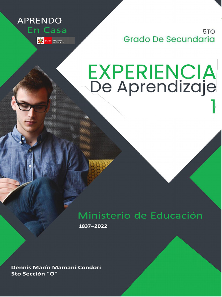 Experiencia de Aprendizaje 1 | PDF