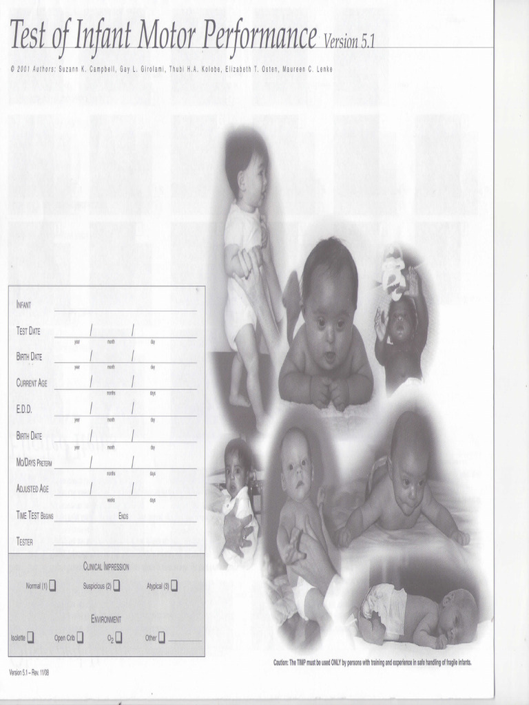 Escala Timp | PDF | Anatomical Terms Of Motion | Limbs (Anatomy)