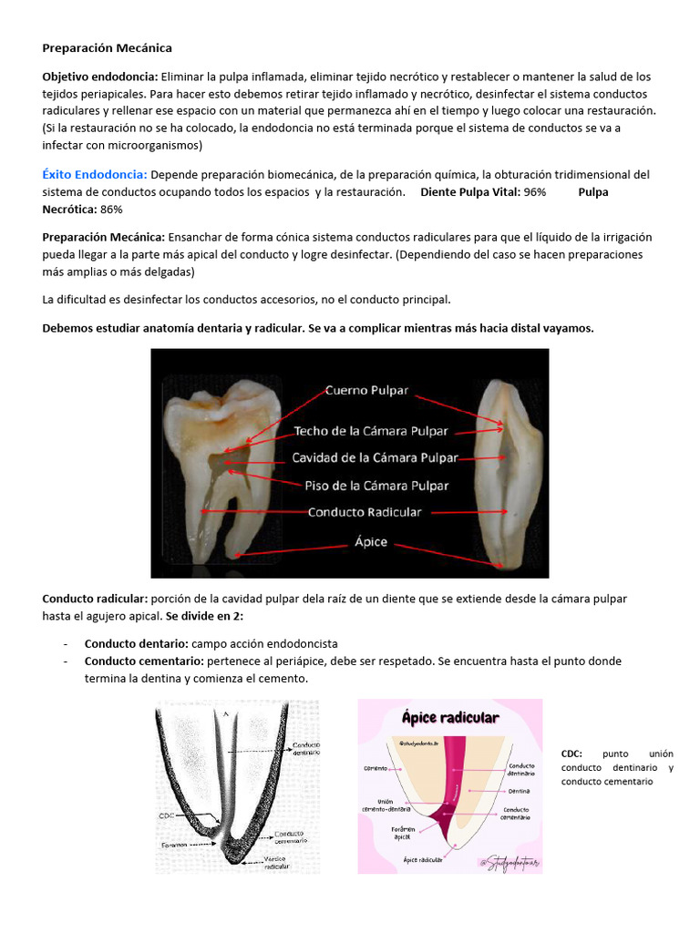 Preparación Mecánica Endodoncia Parte 1 | PDF | Ciencia y matemáticas