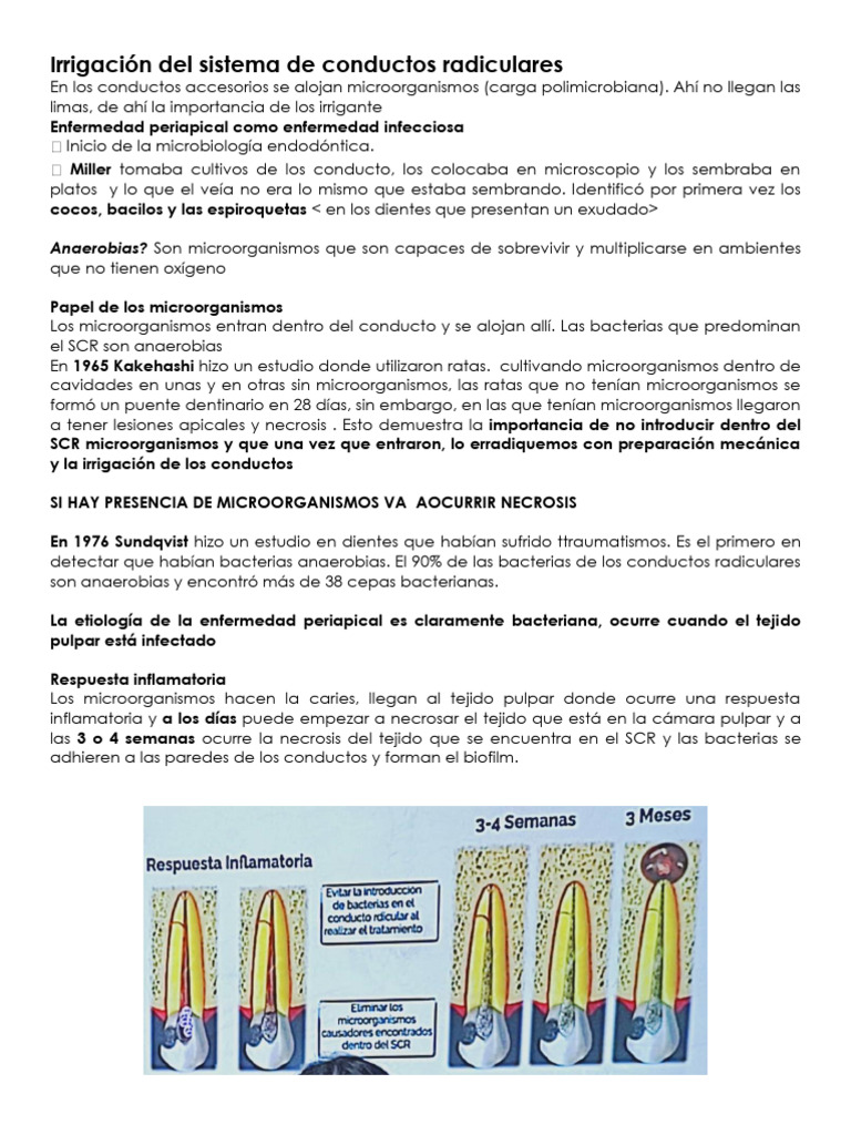Irrigación Del Sistema de Conductos Radiculares | PDF | Ácido ...