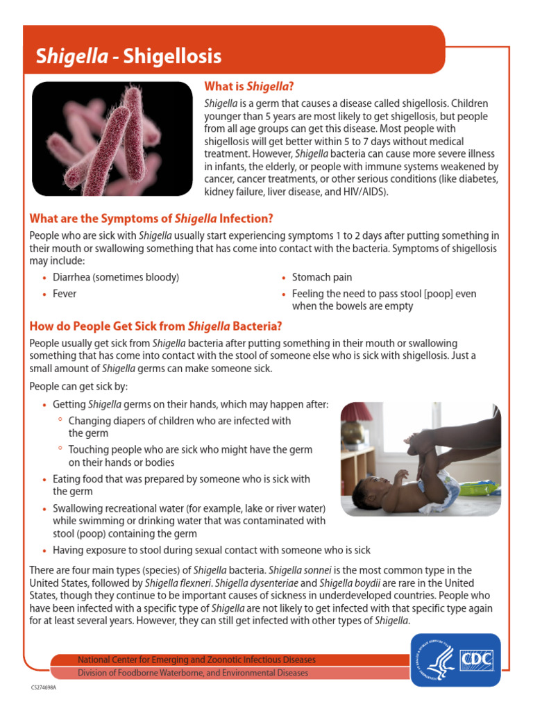 Shigella Fact Sheet | PDF | Immunology | Health Care
