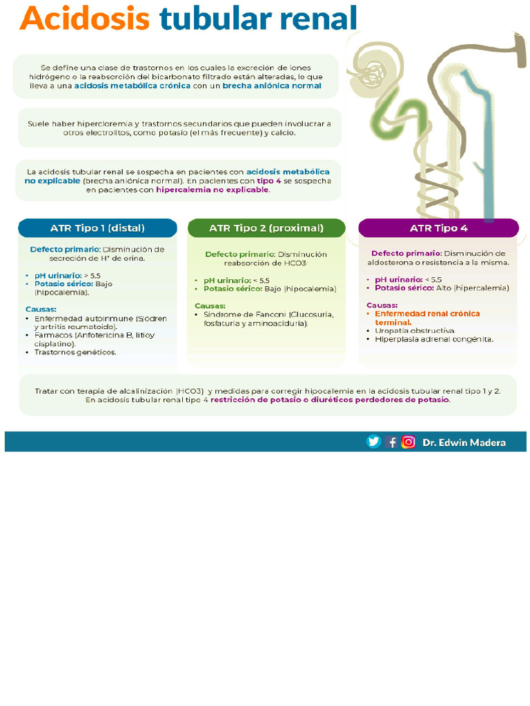 Nefro - Edwin 2023 | PDF