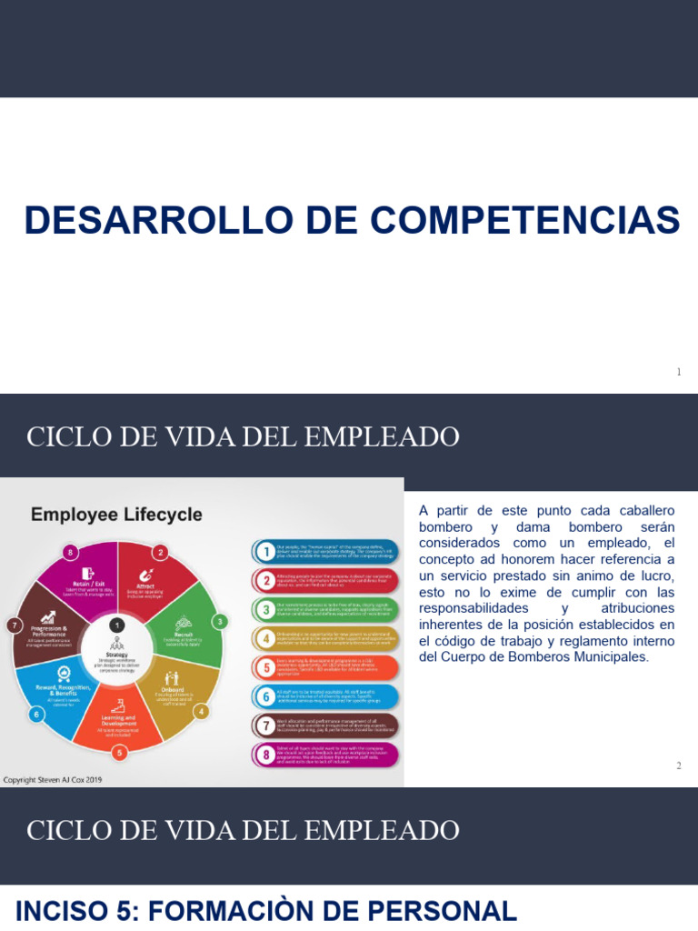 Desarrollo de Competencias | PDF