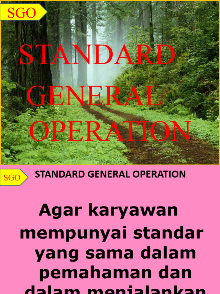 #7 - Standar General Operasional (SGO) ... Operasional | PDF