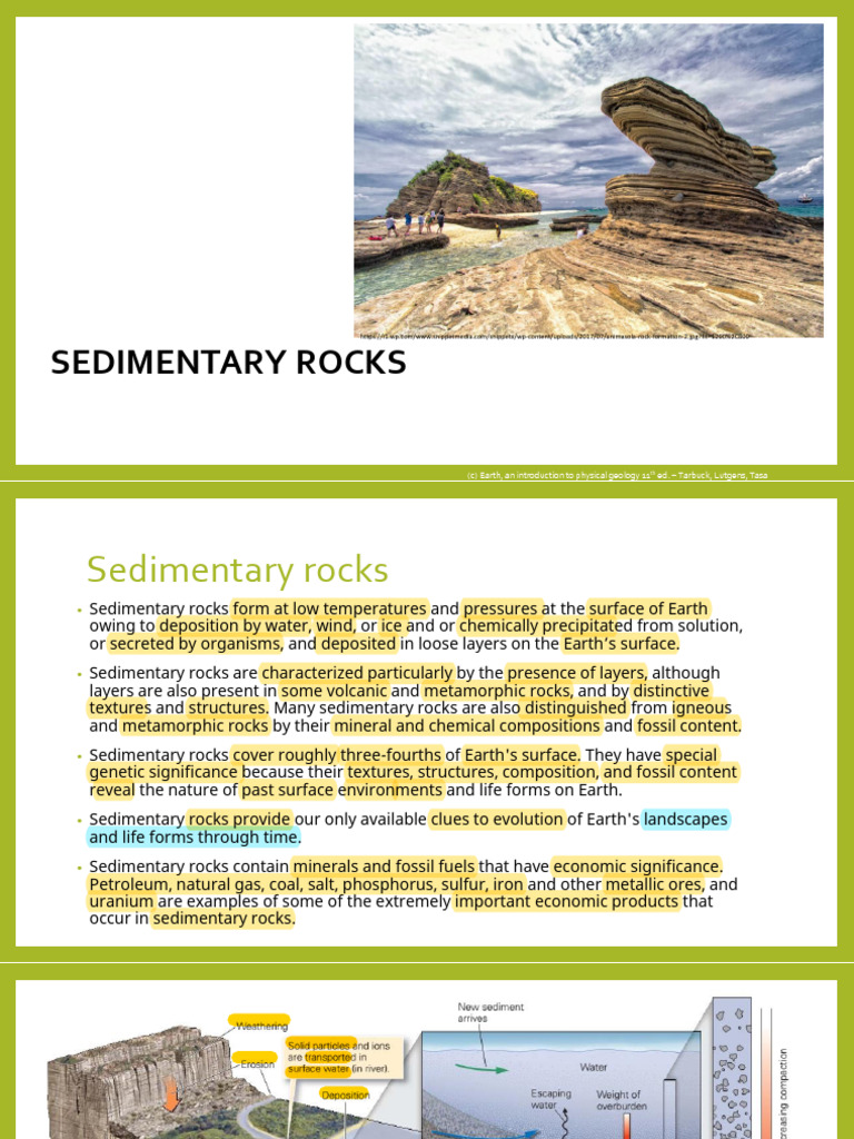 Sedimentary Rocks | PDF
