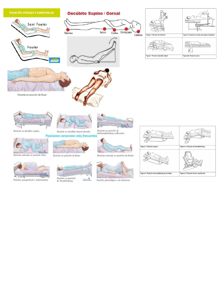 Posiciones Anatomicas | PDF
