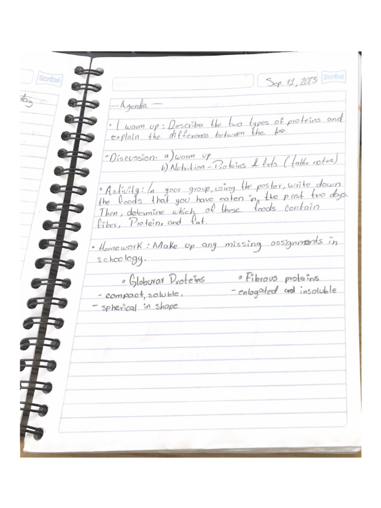 The Two Types Ot Proteins and | PDF