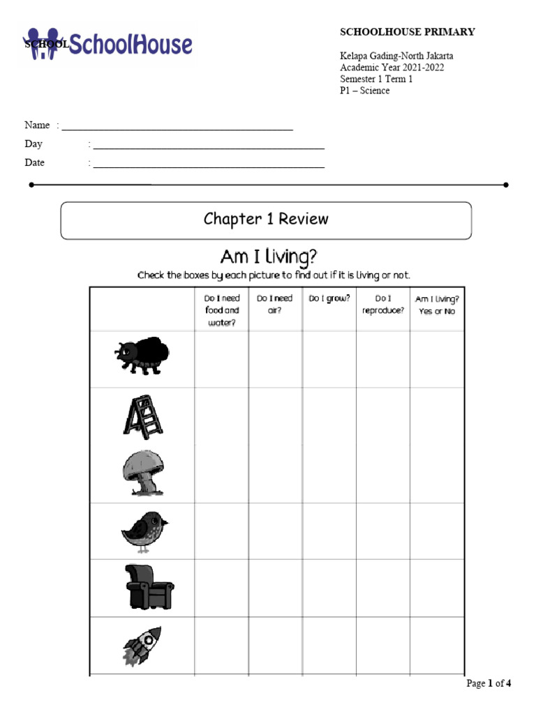 P1 Science: Animals & Young | PDF