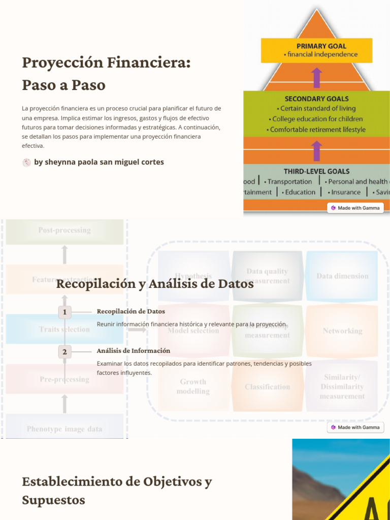 Proyeccion Financiera Paso A Paso | PDF