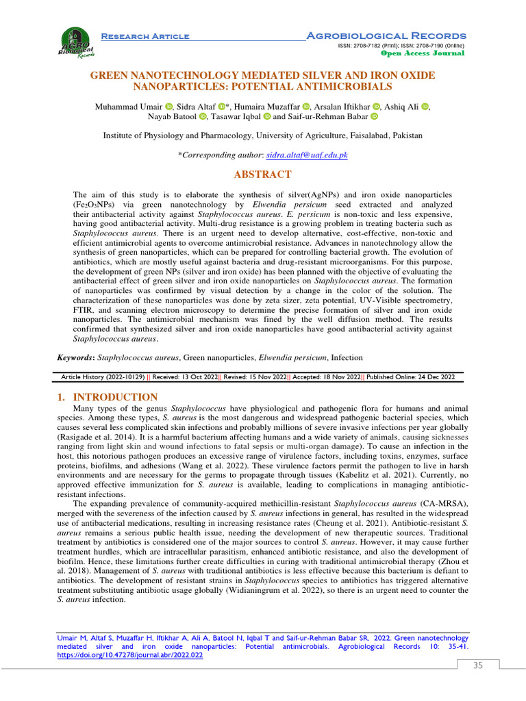 Green Nanotechnology | PDF | Science & Mathematics | Technology & Engineering