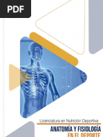 Anatomía Del Corazón | PDF | Corazón | Ventrículo (corazón)