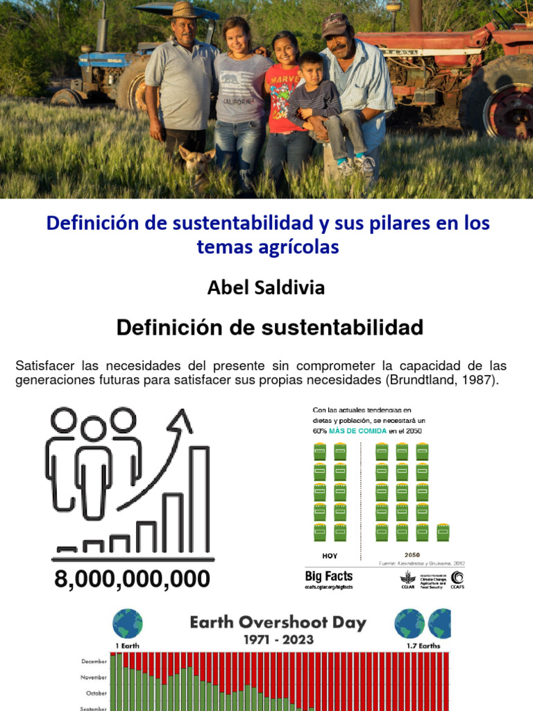 Abel Saldivia - Definición de Sustentabilidad y Sus Pilares en Los ...