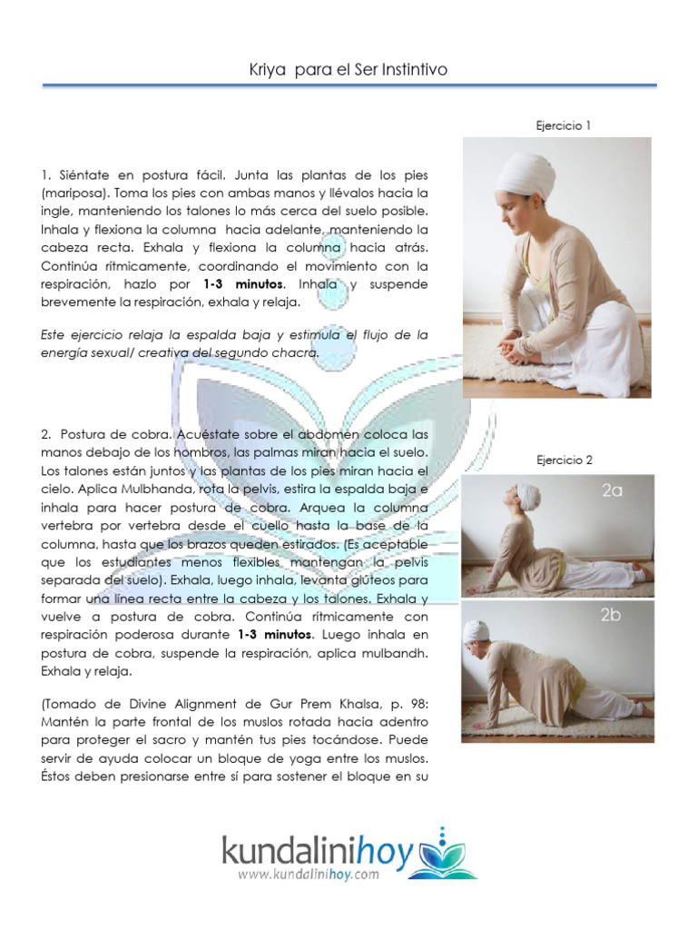 Kriya para El Ser Instintivo | PDF