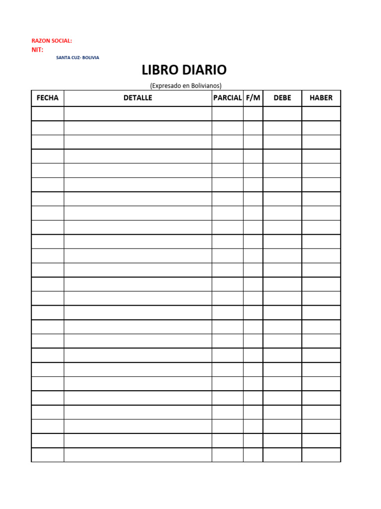 Libro Diario | PDF