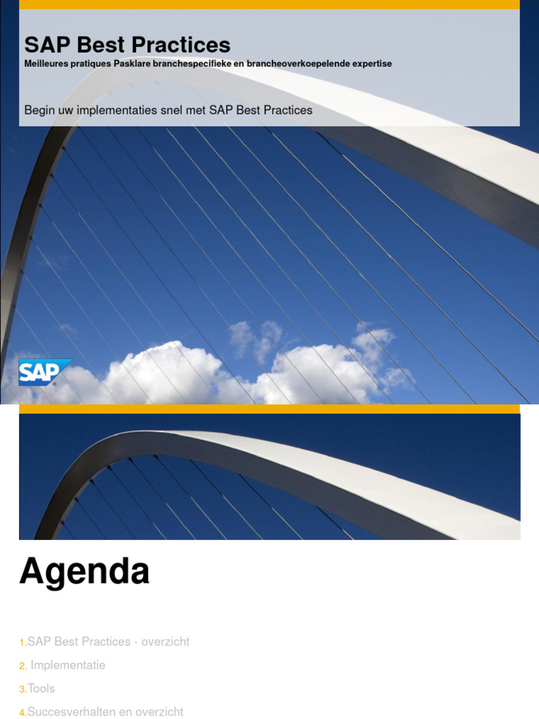 Sap Best Practices Overview Nl Pdf