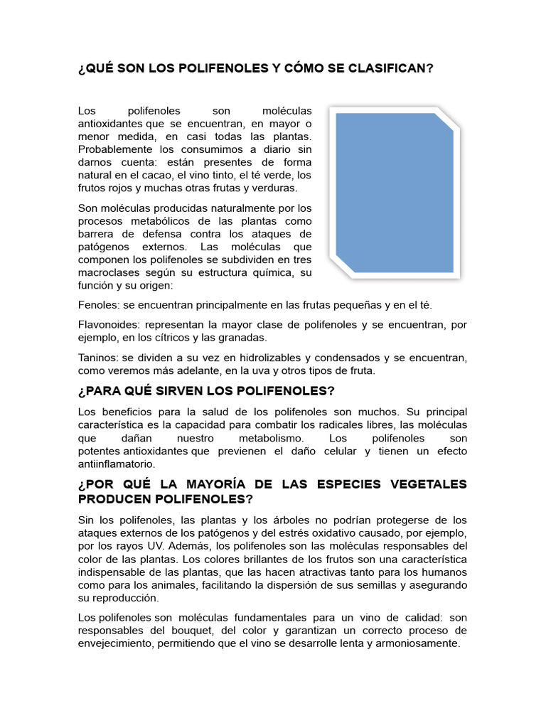 Polifenoles: Beneficios y Clasificación | PDF | Biología Celular ...