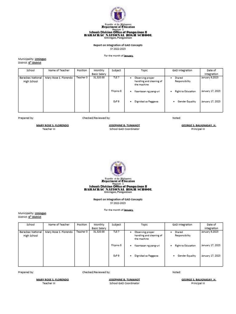 Gad-Integration-Report 2 | PDF