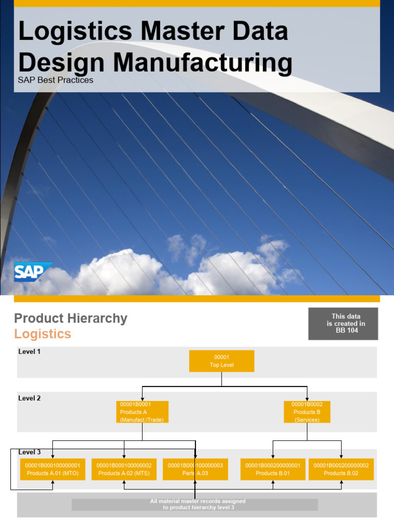 BLV1607 Master Data Scope Overview Man EN NL | PDF | Materials | Business