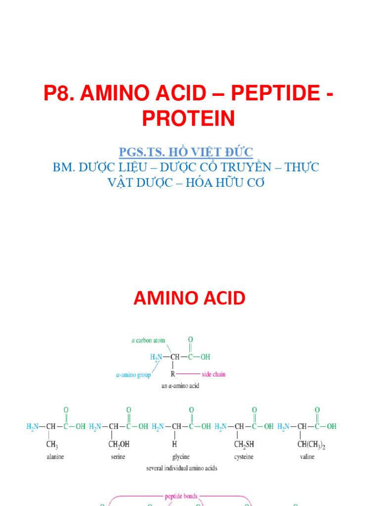 P8 - Amino Acid, Peptide, Protein | PDF