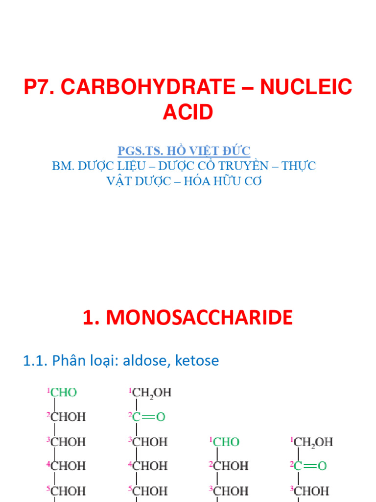 P7 - Carbohydrate - Nucleic Acid | PDF