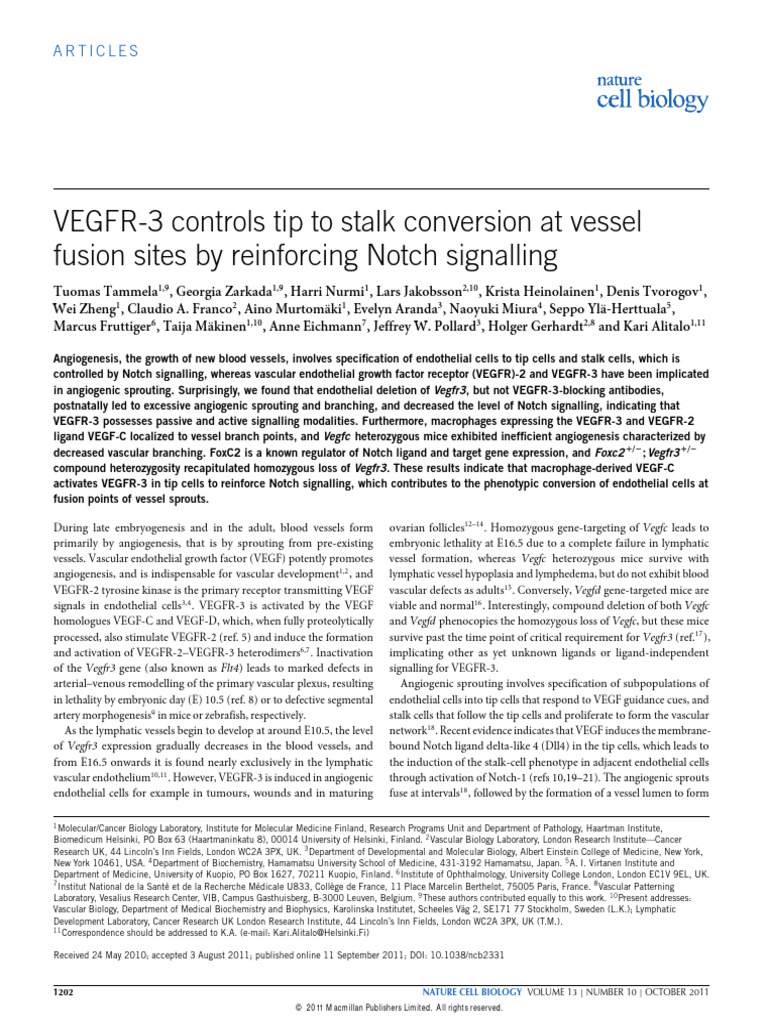 VEGFR-3 Controls Tip | PDF | Angiogenesis | Vascular Endothelial Growth ...